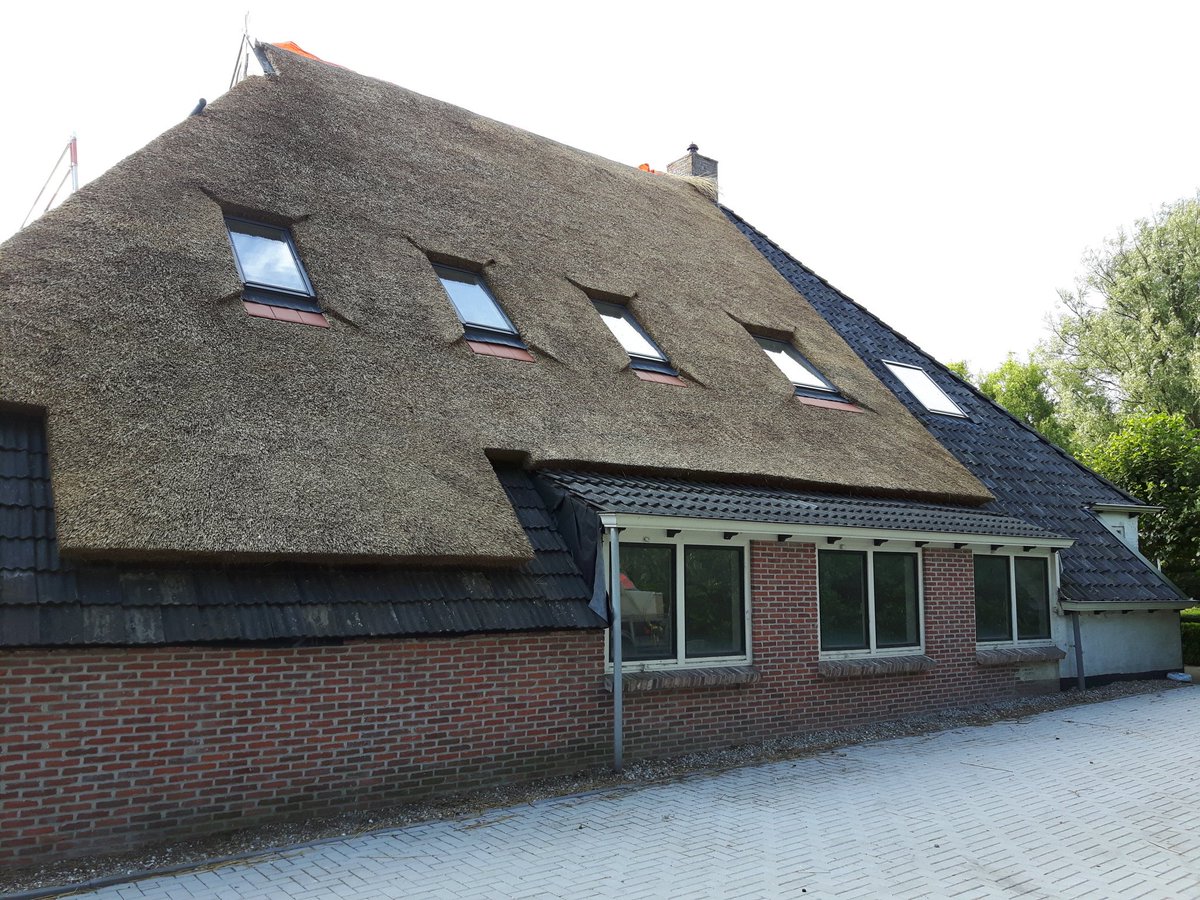 Efficiëntie en groei in de zorg: Hoe Nocht en Wille bloeide met ...